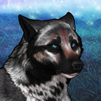 Family of T2 Denim 2m G3 Zerdava |:| Wolvden