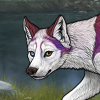 Nightfallers |:| Wolvden