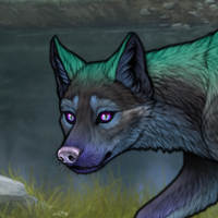 Family of OH Amaranth |:| Wolvden