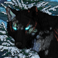 🌌Nova🌌 |:| Wolvden