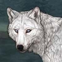 Family of R&C T3 G3 |:| Wolvden