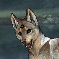 Nightfallers |:| Wolvden