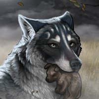 Family of T3 Blue. Tranquil 4m/g |:| Wolvden