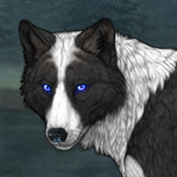 Nightfallers |:| Wolvden