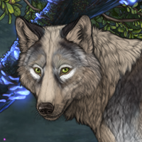 WindriderMS |:| Wolvden