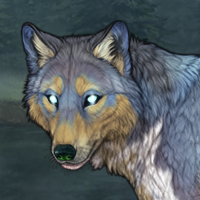 Family of RCT1 6M 236 |:| Wolvden