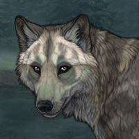 Family of T2 4M HetWB |:| Wolvden