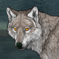 Nightfallers |:| Wolvden