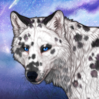 Family of Grey |:| Wolvden