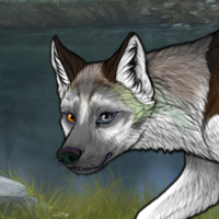 Family of RnC |:| Wolvden