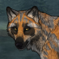 Family of G1 Turquoise(f) |:| Wolvden