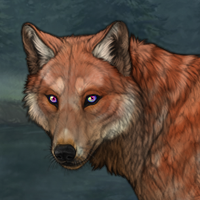 Family of RnC |:| Wolvden