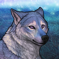 Family of G4 Squid🌙 |:| Wolvden