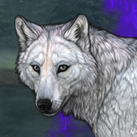 𝕮𝖍𝖊𝖗𝖗𝔂𝕹𝖎𝖌𝖍𝖙 |:| Wolvden