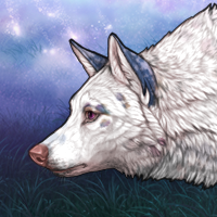 Family of G3 antler |:| Wolvden