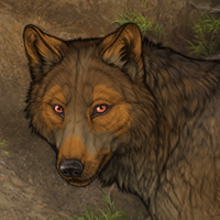 Family of G4 448- Shaded, Sakiz |:| Wolvden