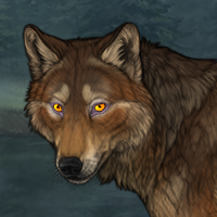 Pregnant Wolves/Caretakers |:| Wolvden