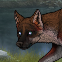 Training |:| Wolvden