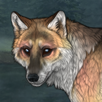 Flower Patches |:| Wolvden