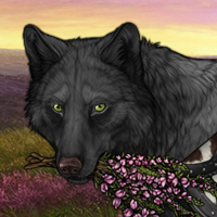 Family of gray muzzle |:| Wolvden