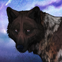 Family of Scout B |:| Wolvden