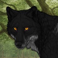 rainydayz |:| Wolvden