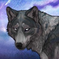 Training |:| Wolvden