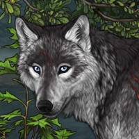 KiwiCriminal13 |:| Wolvden