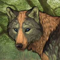 star manor |:| Wolvden