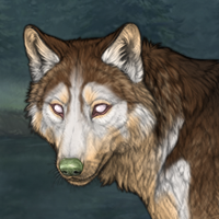 Nightfallers |:| Wolvden