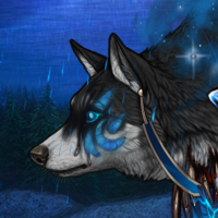 specialkayy ☆ |:| Wolvden