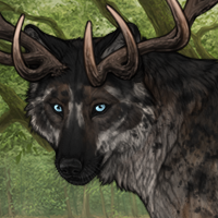 Family of Sell |:| Wolvden