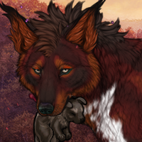 Nightfallers |:| Wolvden