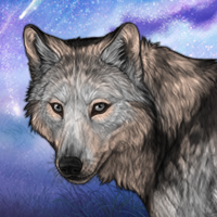 𝕷𝖚𝖓𝖆♡°-_»☾ |:| Wolvden