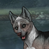 Team Alpha Wolf Squadron |:| Wolvden