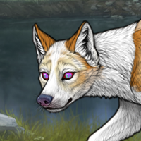 Nightfallers |:| Wolvden