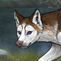 Family of Keep |:| Wolvden