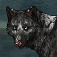 Family of SELL |:| Wolvden