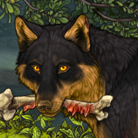 Members Online |:| Wolvden