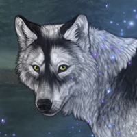 Cielo_[Autistic & ADHD] |:| Wolvden