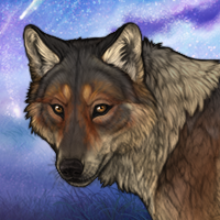 fireflylights |:| Wolvden