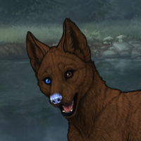 Nightfallers |:| Wolvden