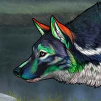 Family of G2 zerdava storm 👀 |:| Wolvden