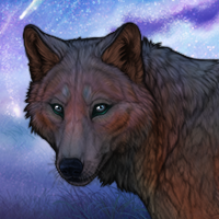 Training |:| Wolvden