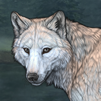 WildFireSongBird |:| Wolvden