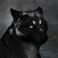 Family of XX TII Xanthic 6m XX -F- |:| Wolvden