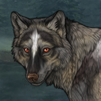 SpookyPoodle |:| Wolvden