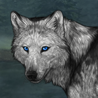 MidnightEnder |:| Wolvden