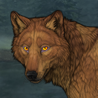 Pregnant Wolves/Caretakers |:| Wolvden