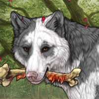 Wolfwarrior13 |:| Wolvden